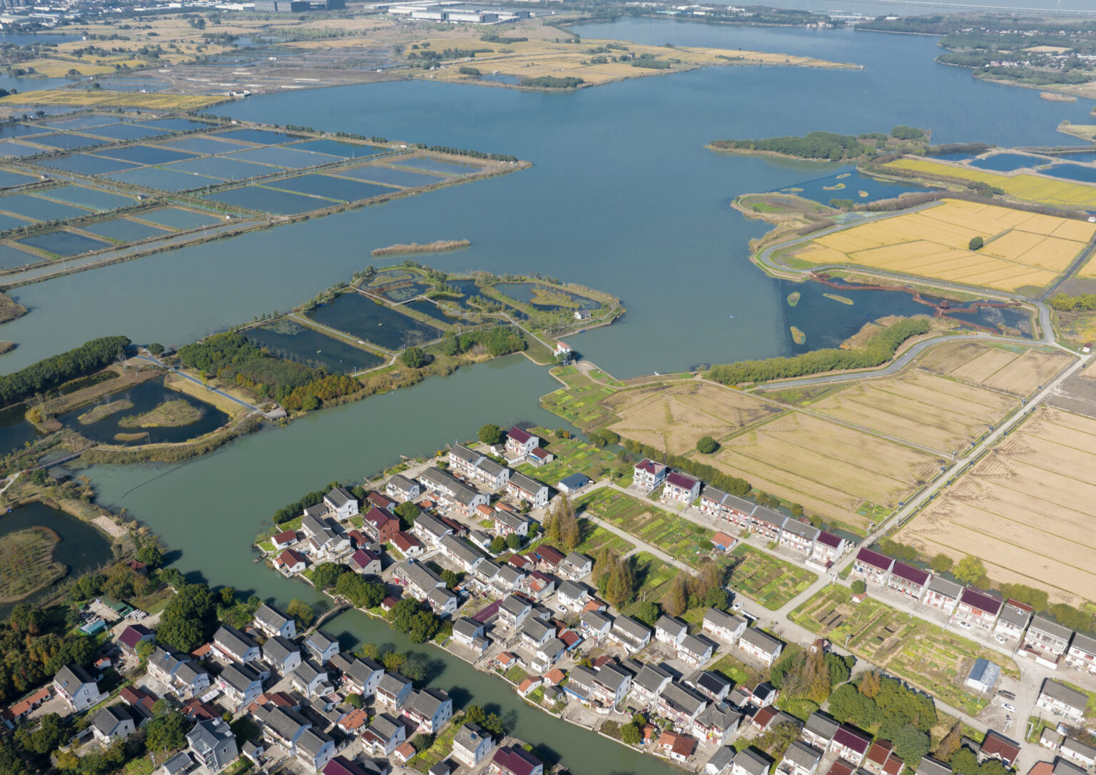 Structuring Nature: The Architectural Pursuit of Ecological Complexity ...