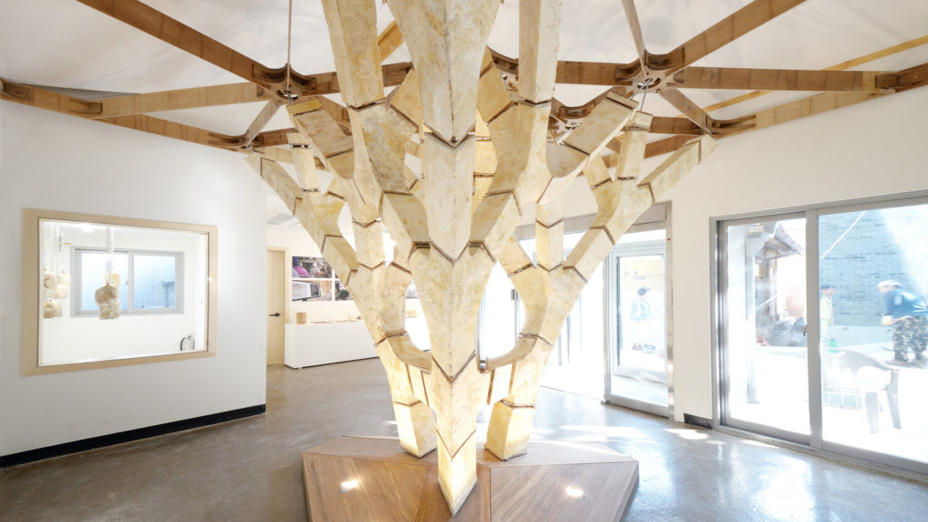 Food for Thought: What About Mycelium Architecture? - Architizer Journal