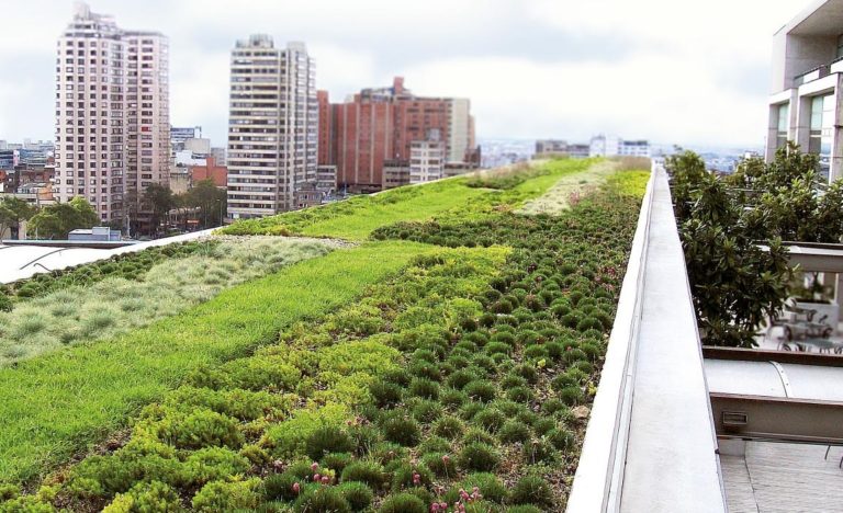 An Architect's Guide To: Green Roofs - Architizer Journal