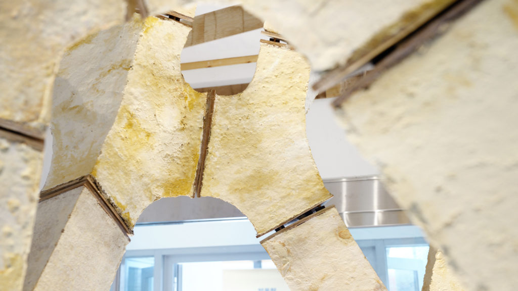 Food for Thought: What About Mycelium Architecture? - Architizer Journal