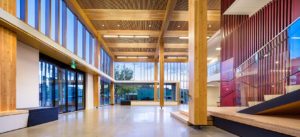 3 Mass Timber Structures That Take Wood To New Heights - Architizer Journal