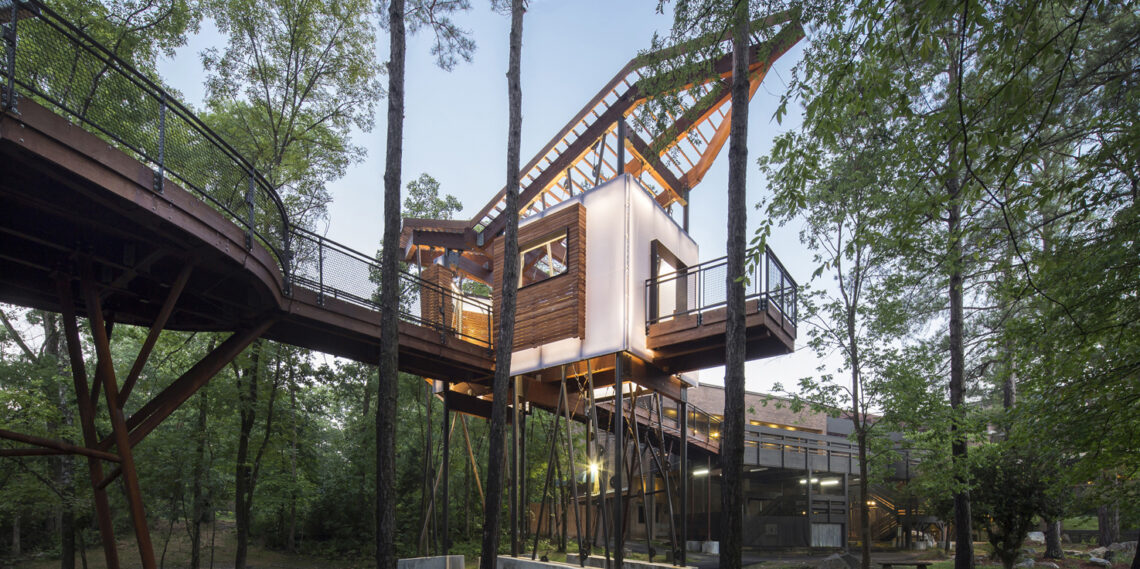 Natural Wonder: 10 Examples of Arkansas' Elaborate Institutional ...