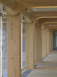 The Future of Architecture: Scaling Up and Building Big With Timber
