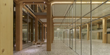 The Future of Architecture: Scaling Up and Building Big With Timber