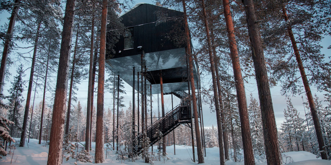 The Architecture of Treehouses: 7 Inspiring Case Studies