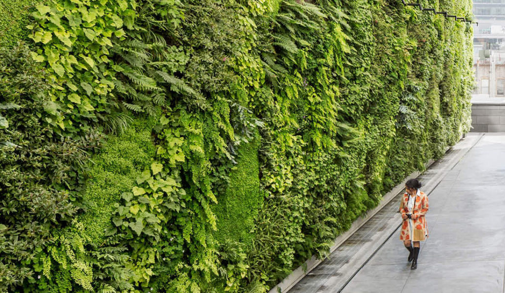 An Architect's Guide To: Green Walls - Architizer Journal