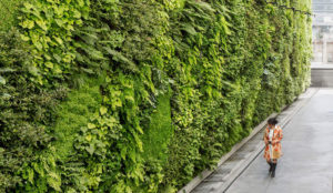 An Architect's Guide To: Green Walls - Architizer Journal