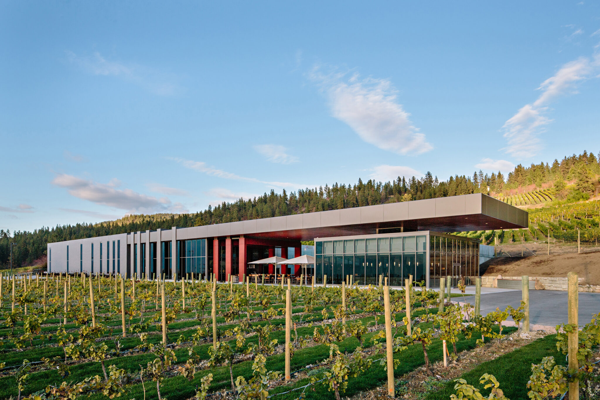 From Vineyard to Venue: 7 Essential Design Elements of Public-Facing ...