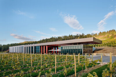 From Vineyard to Venue: 7 Essential Design Elements of Public-Facing ...