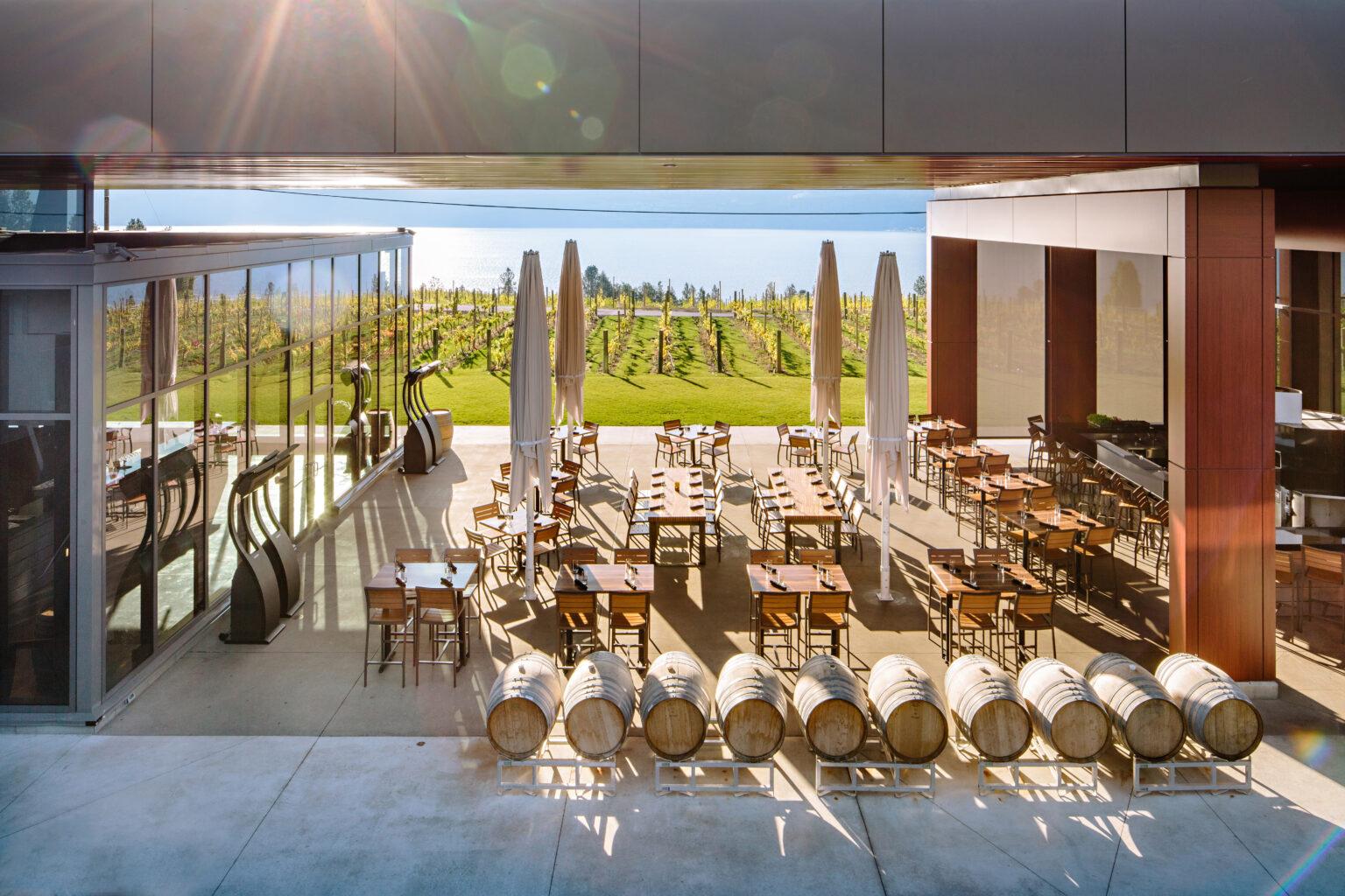 From Vineyard to Venue: 7 Essential Design Elements of Public-Facing ...