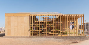 Weathering Winds: 7 Ways Architects are Designing for Desert Conditions