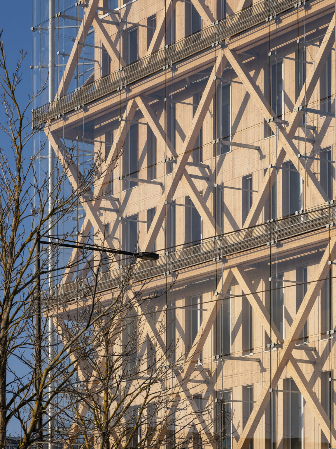 Striking Skeletons: 6 Expressive Projects Flaunting Their Structural Frames