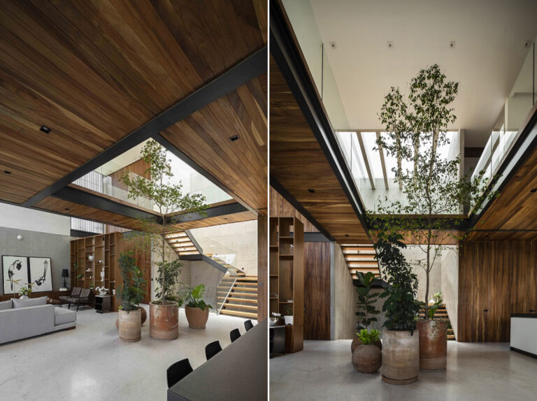 Young Architect Guide: Daylighting, a Fundamental Pillar of ...