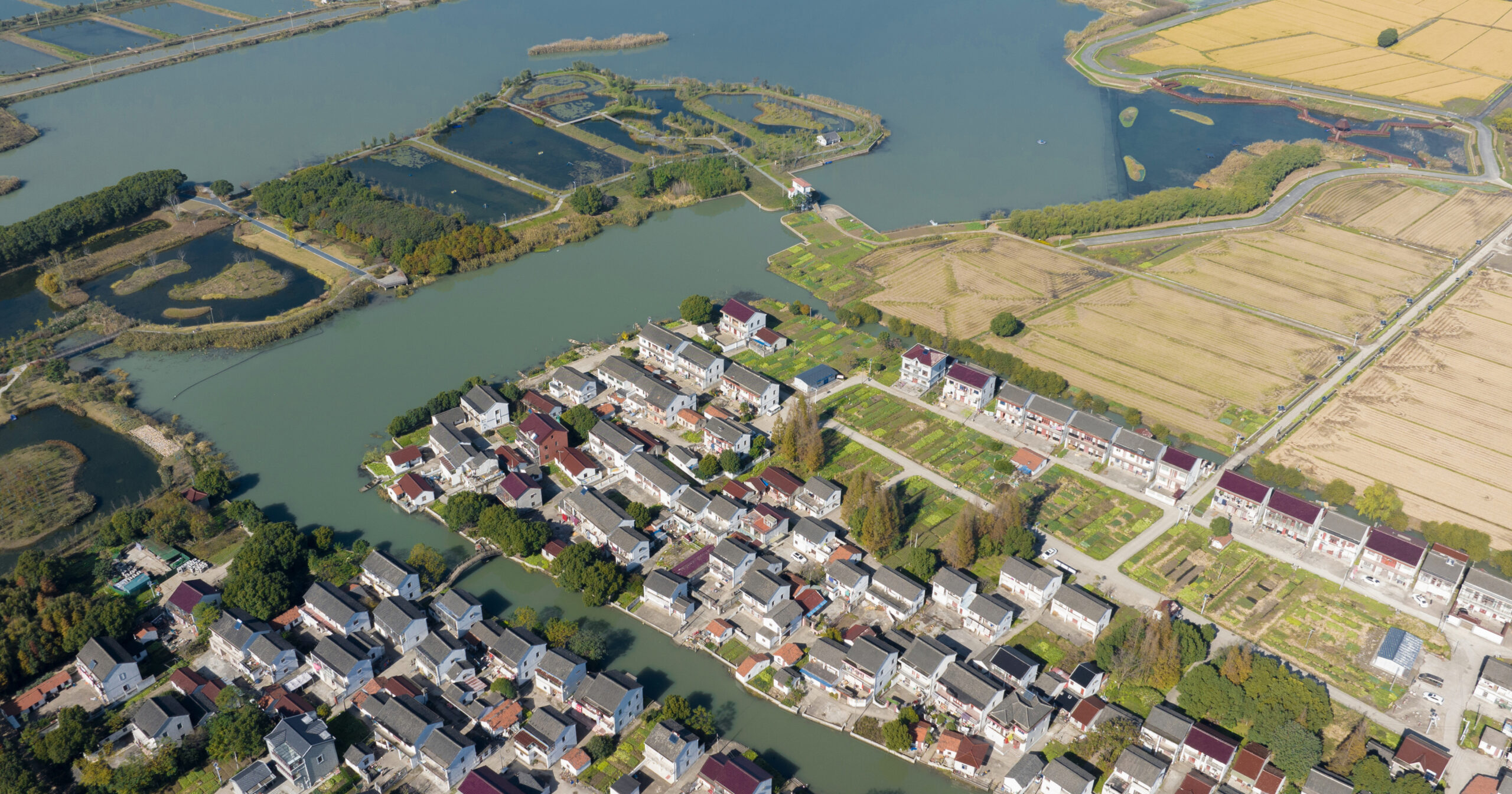 The Future of Architecture: 10 Transformative Design Principles for a ...