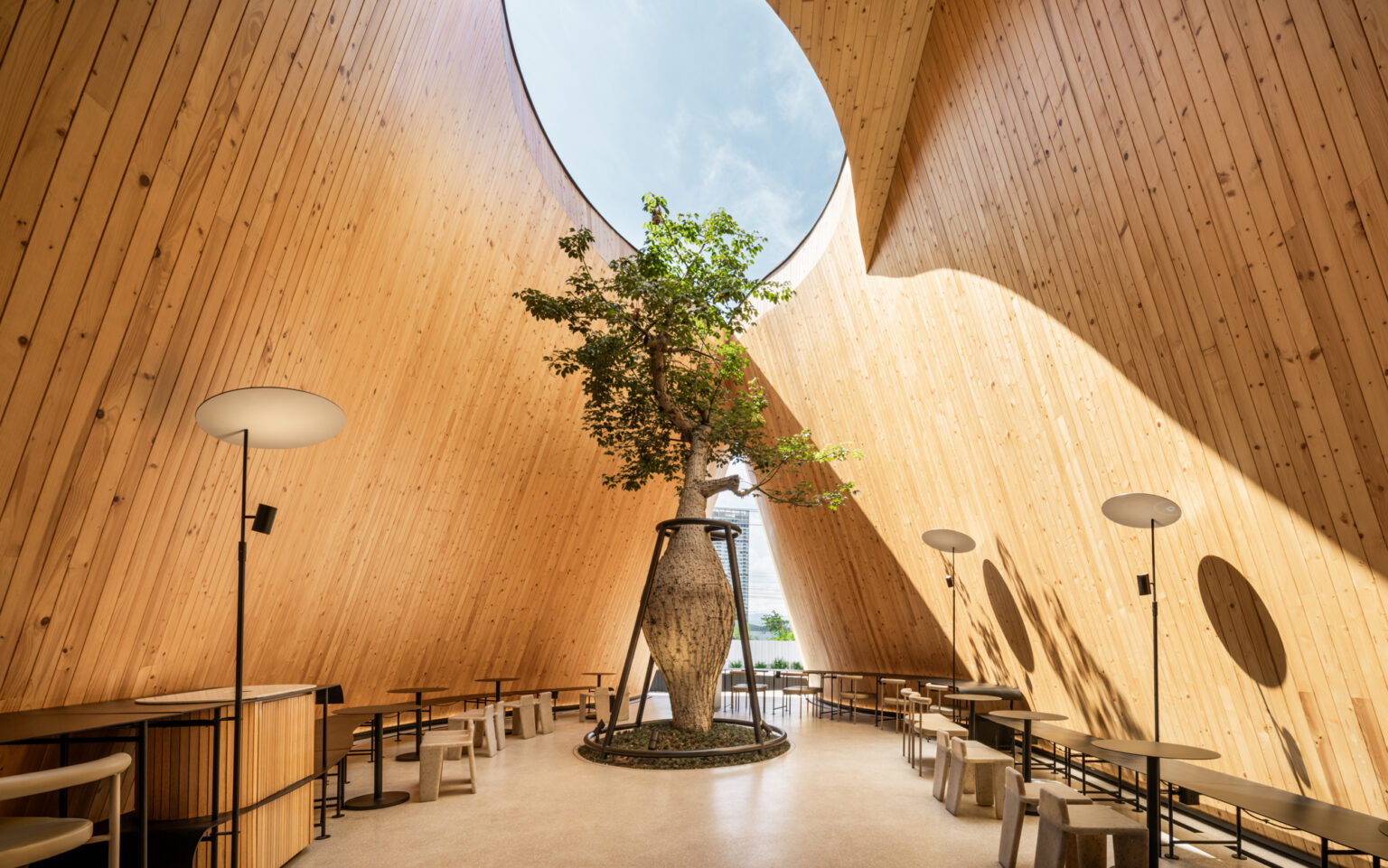 Branching Out: 5 A+Awards-Winning Projects Featuring Forest-Inspired ...
