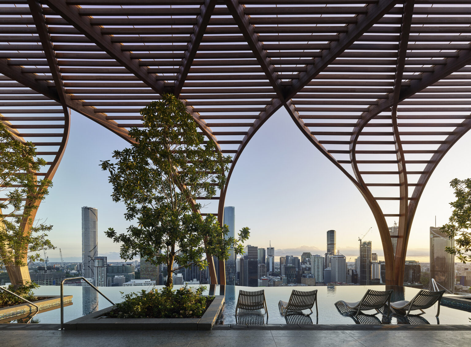 Branching Out: 5 A+Awards-Winning Projects Featuring Forest-Inspired ...