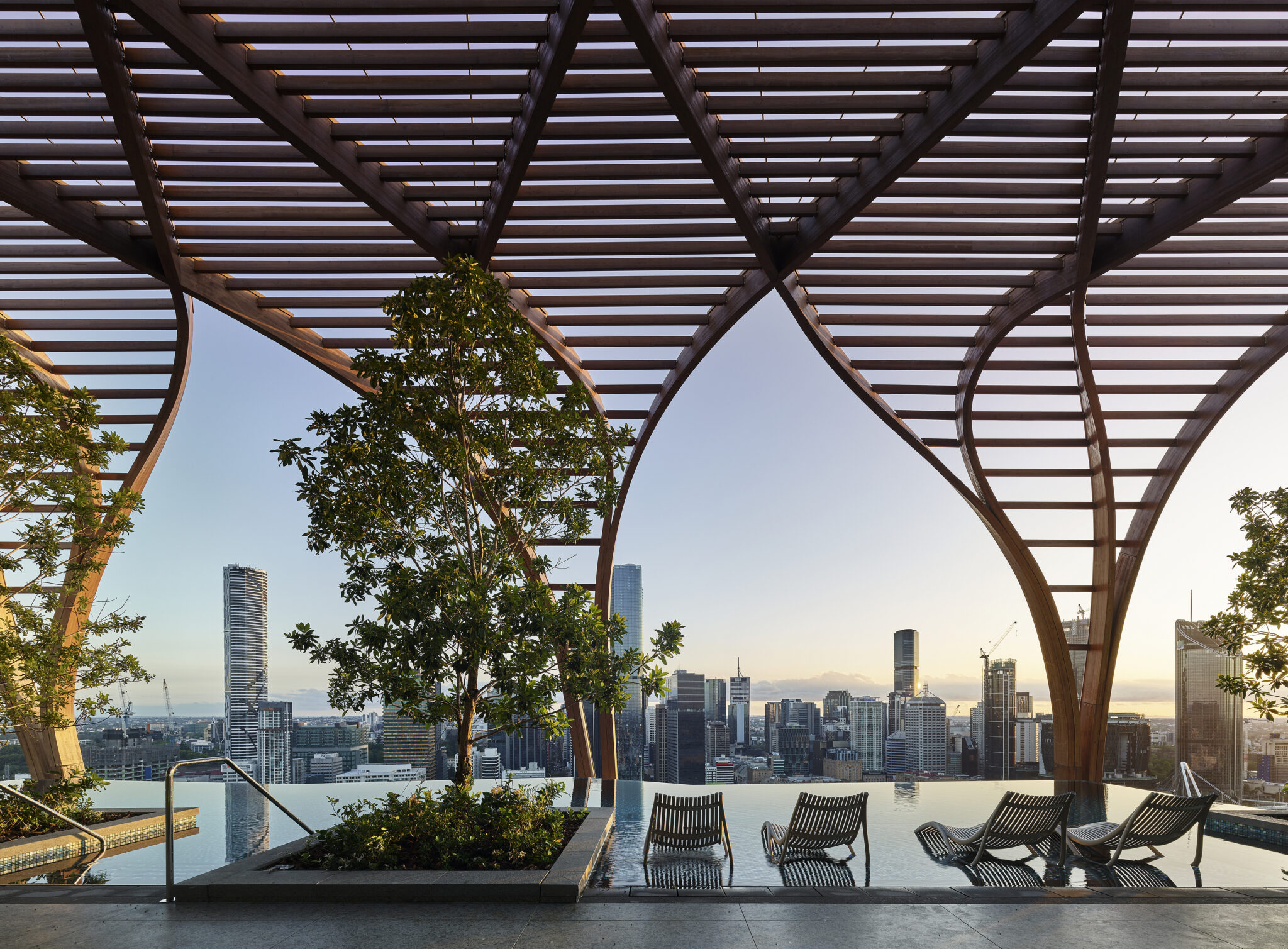 Branching Out: 5 A+Awards-Winning Projects Featuring Forest-Inspired ...