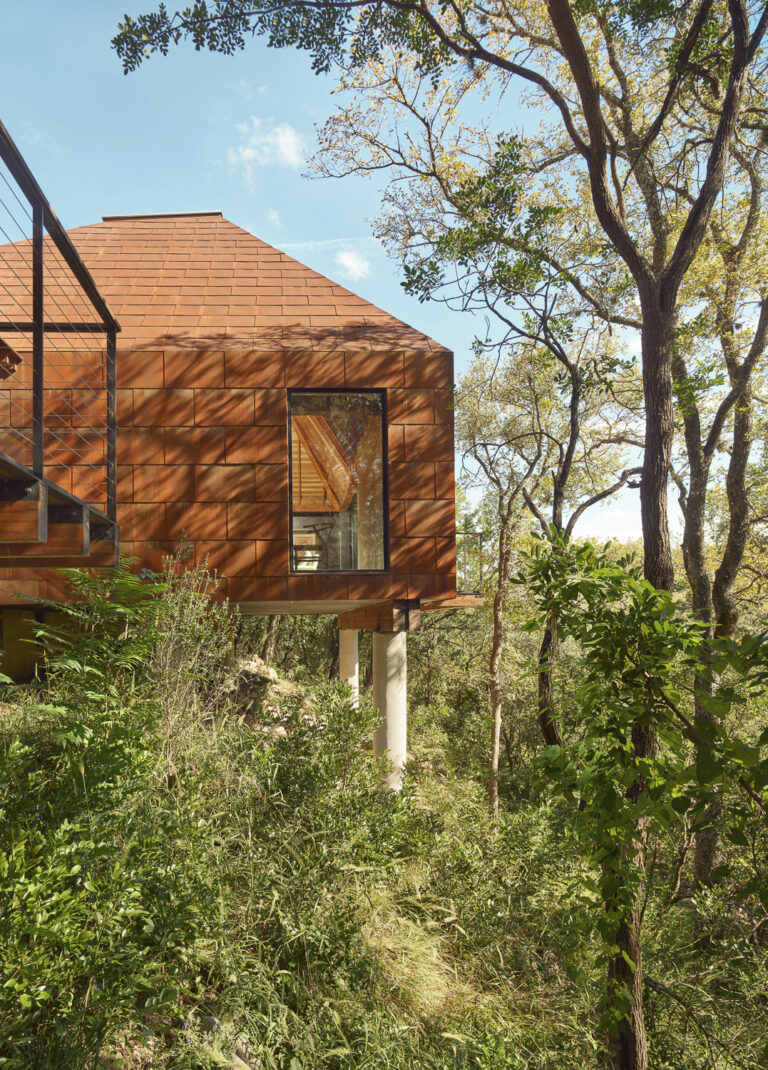 Branching Out: 5 A+Awards-Winning Projects Featuring Forest-Inspired ...