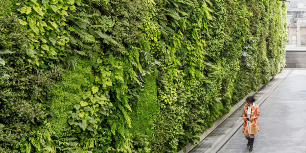 An Architect's Guide To: Green Walls - Architizer Journal