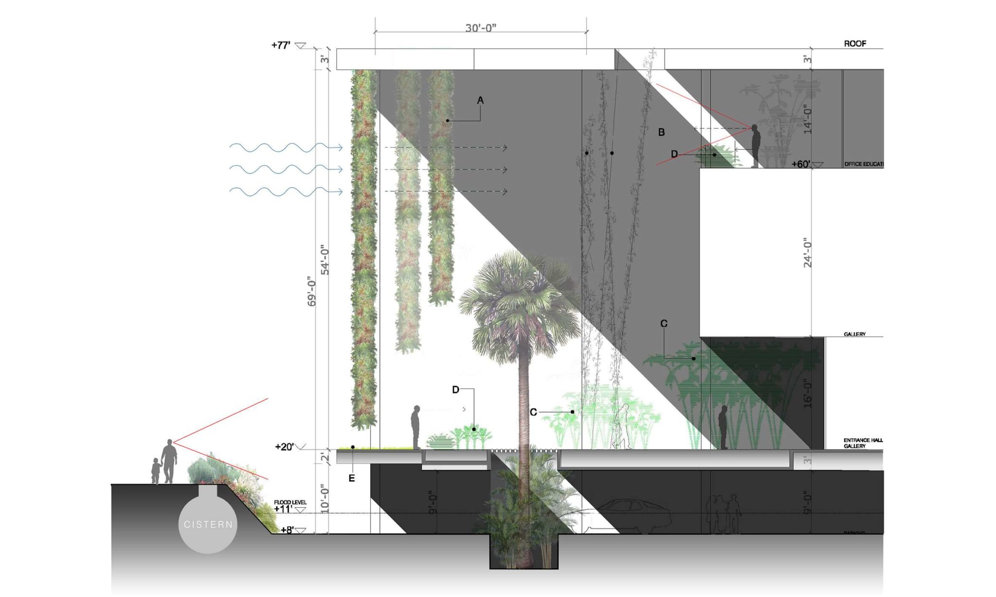 The Plant and the Pen: Biophilia in Architectural Drawings