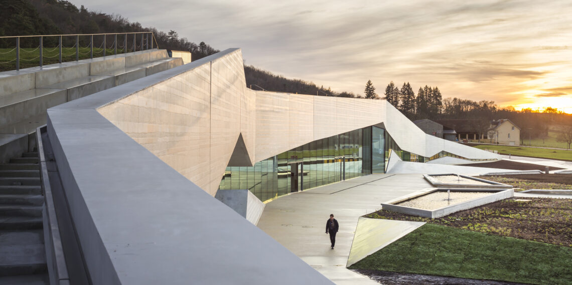 Fight Back with Fungi: How Mushrooms Can Help Solve the Global Housing ...