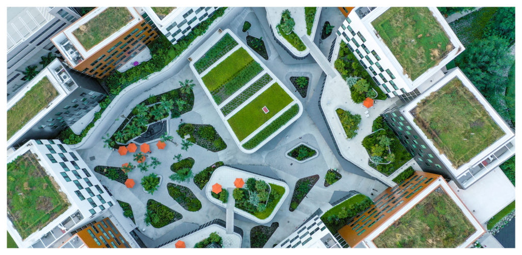 On Solid Ground: 10 Top Landscape Architecture Firms in 2021