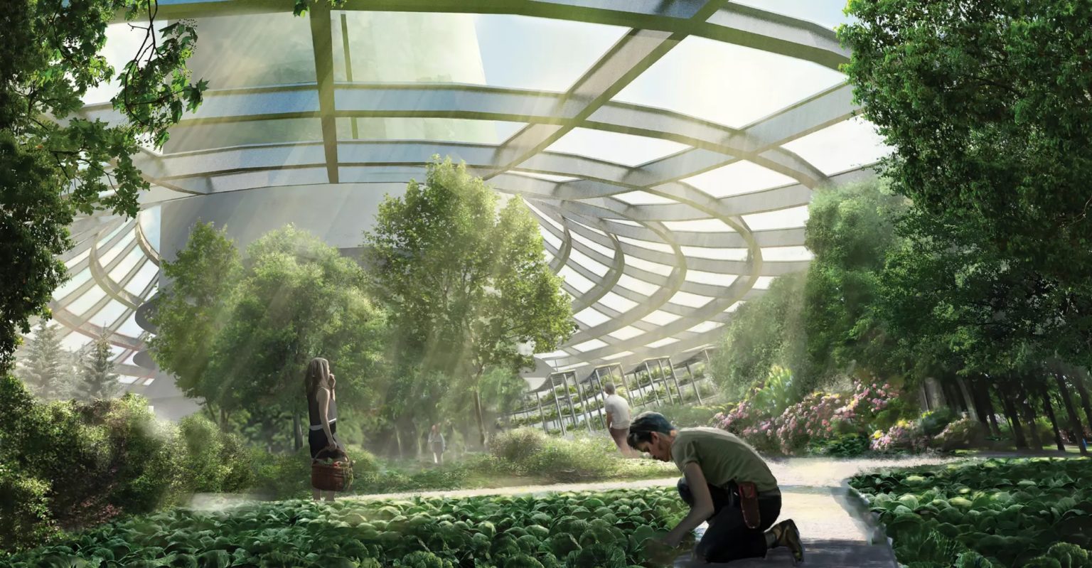 Visualization Today: An Interview with Kilograph's Founder, Keely Colcleugh