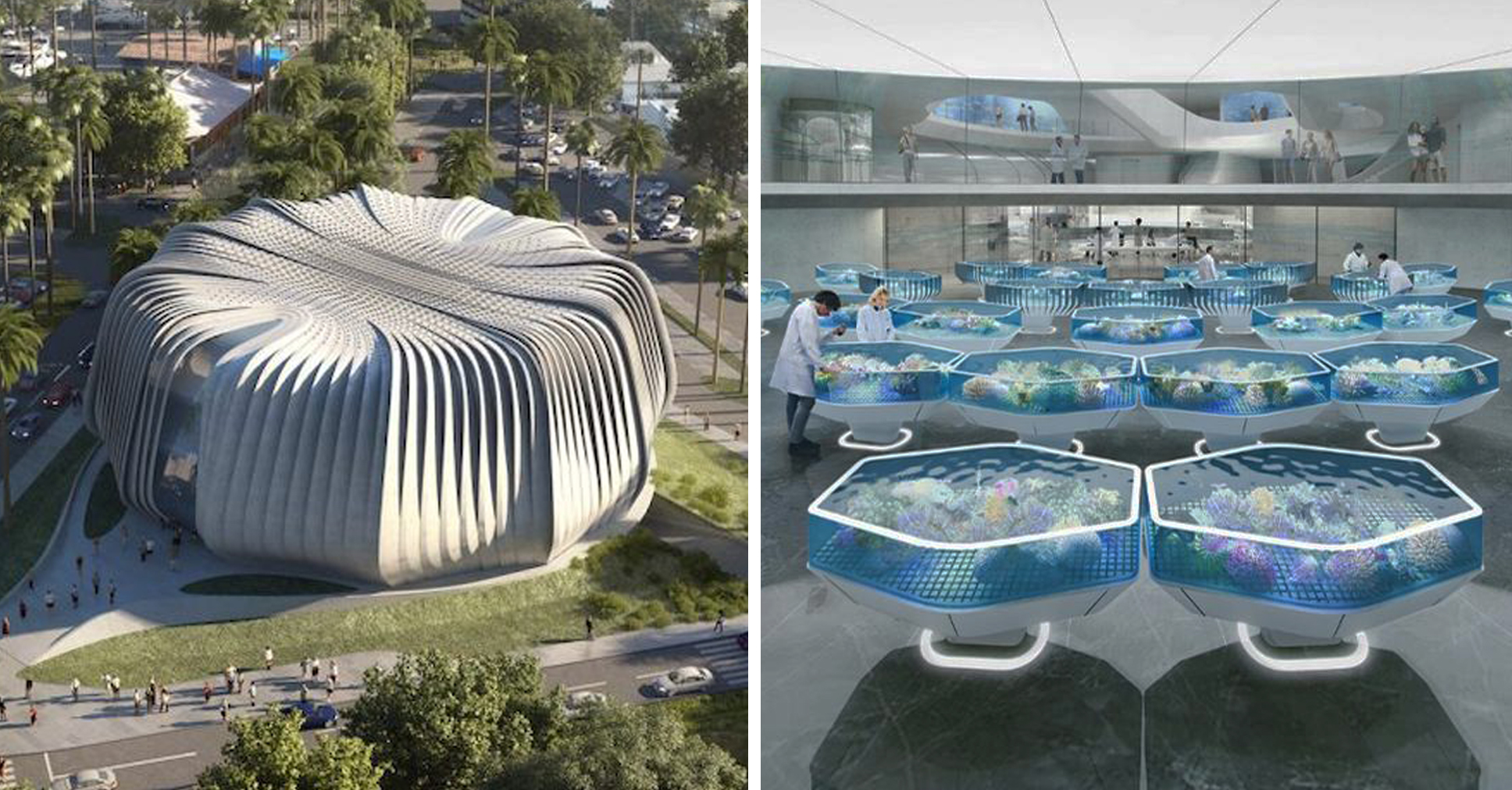 This "Coral Ark" Could Help Save the Great Barrier Reef From Extinction ...