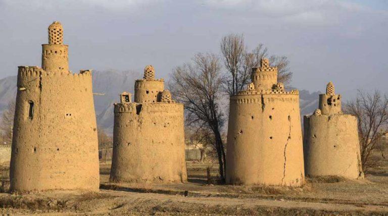 Avian Architecture: To Coexist, Architects Must Embrace Multi-Species ...