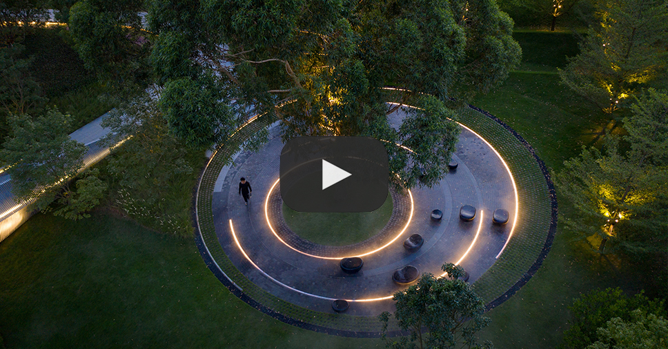 Ancient Roots, Modern Learning: Exploring a University's Tree-Centric ...