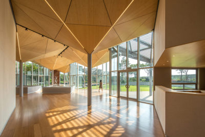 Hive Mind: Architects are Making Heroes of Hexagonal Forms