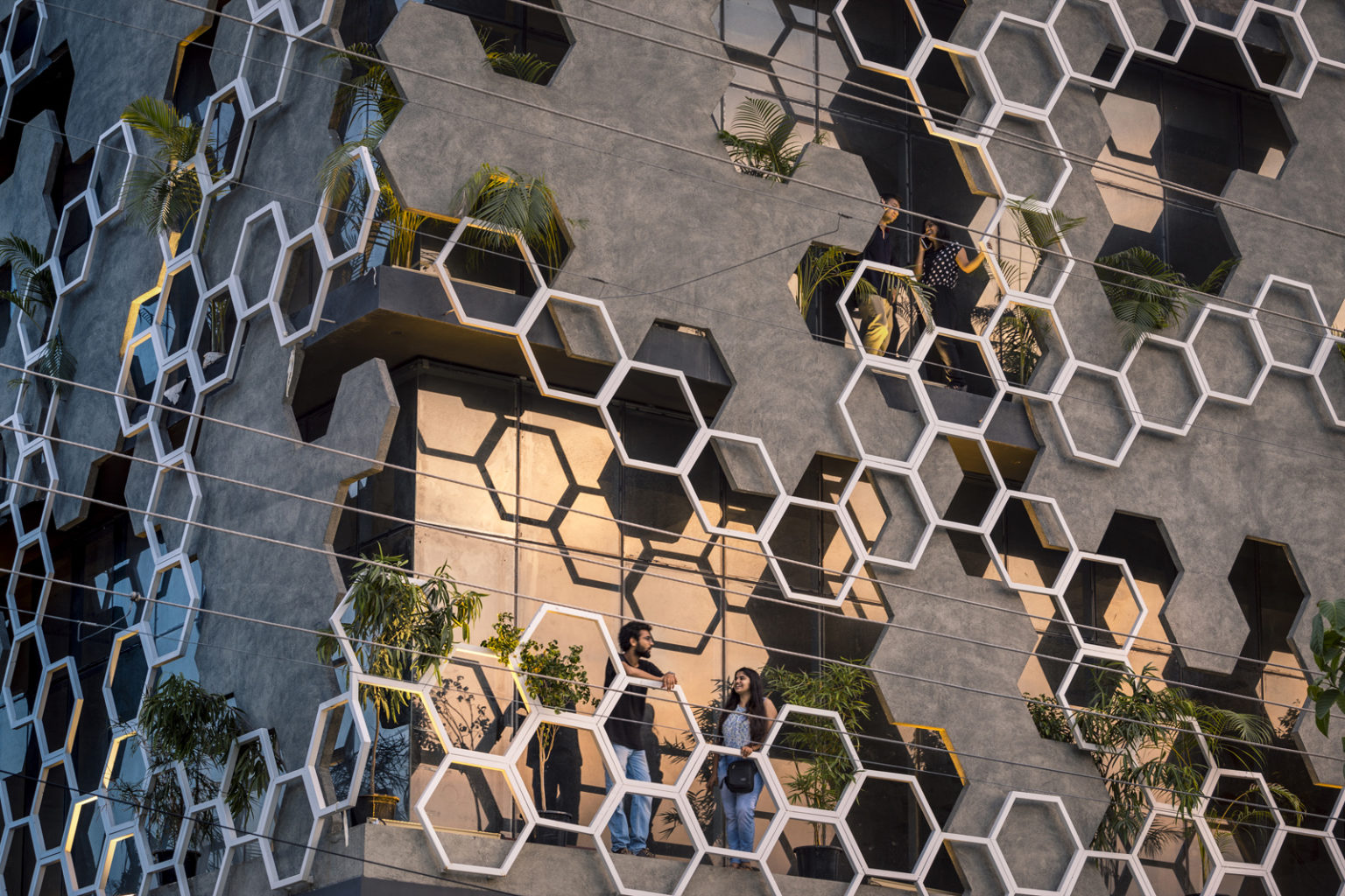 Hive Mind: Architects are Making Heroes of Hexagonal Forms