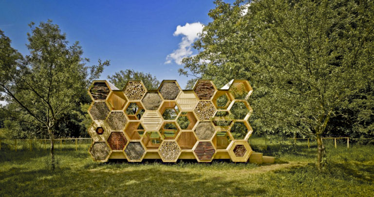 Animal House: Architectural Habitats For Winged Creatures