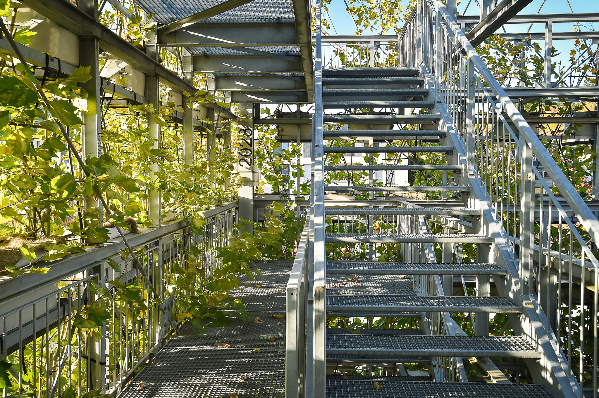 It’s Alive! Architects Are Using Living Plants as Structural Building ...