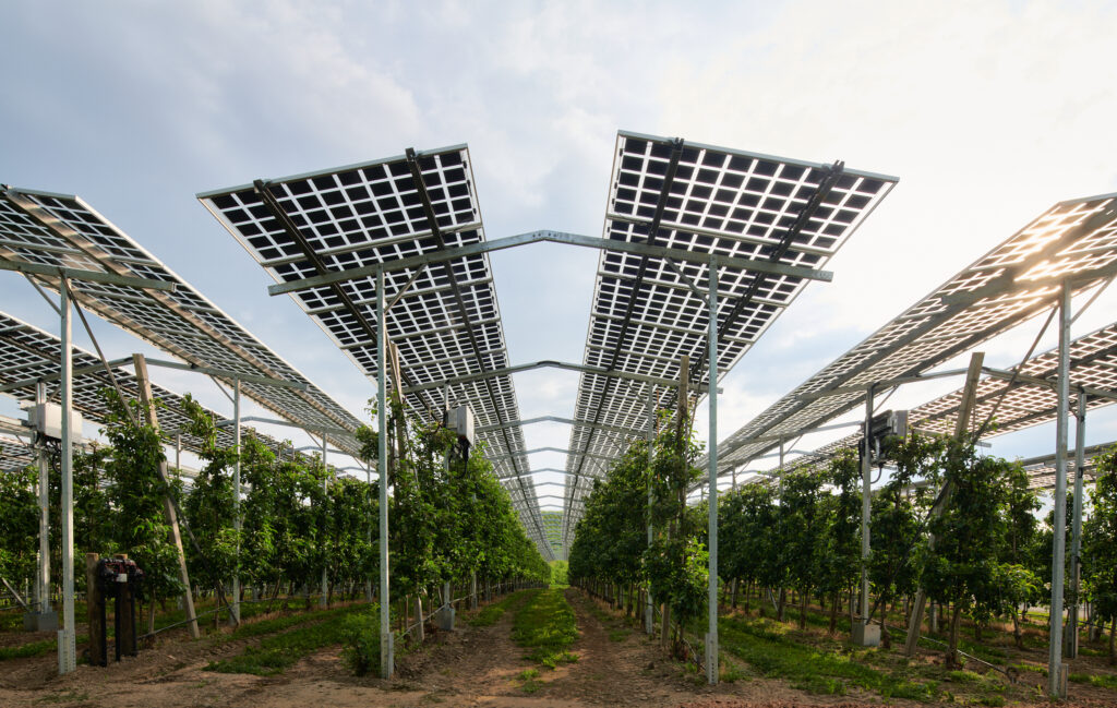 Agrivoltaic Architecture: Solar Farms Are Failing Farmers — Architects ...