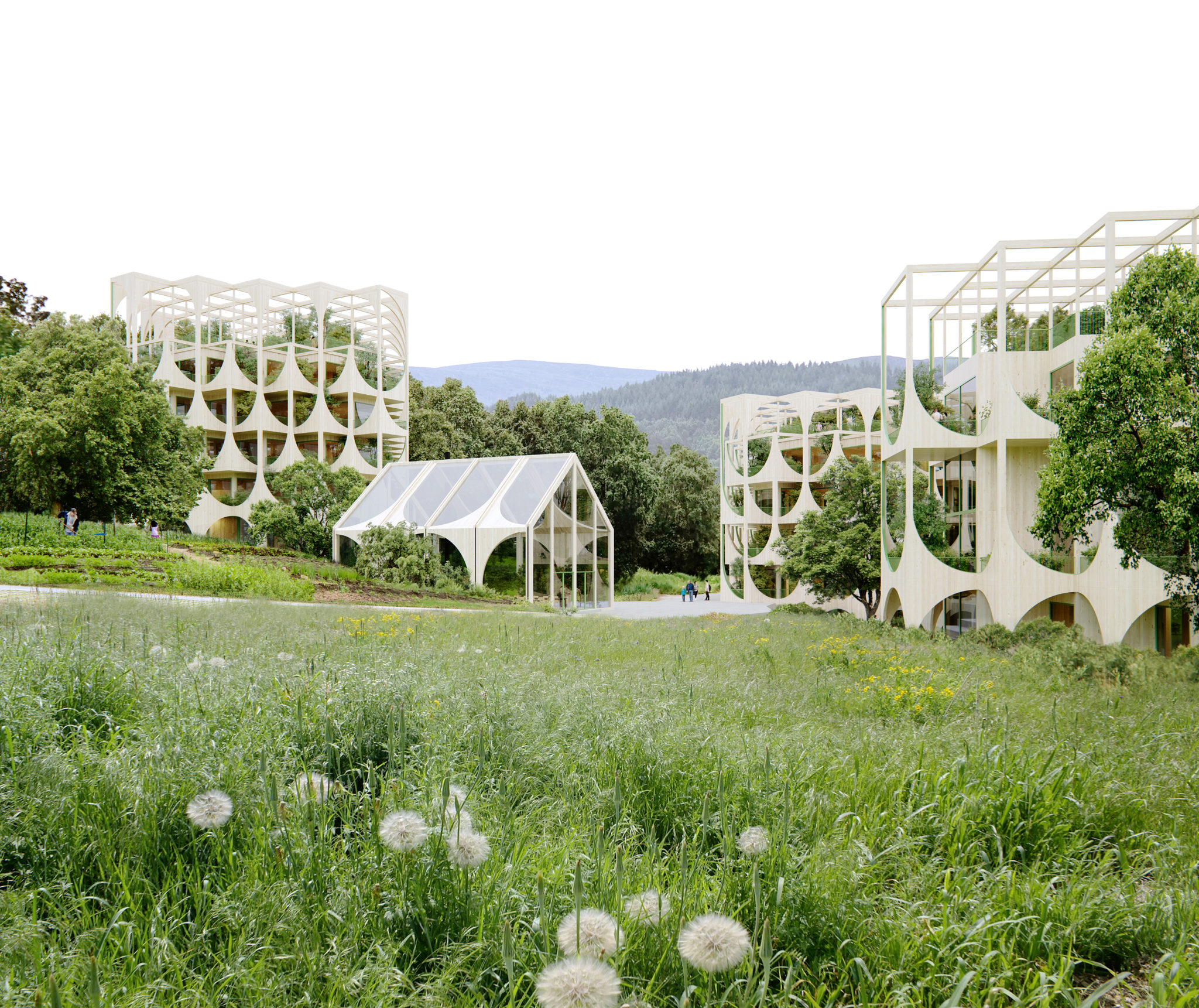 How Today's Architects Are Rethinking the "Arch" in Architecture