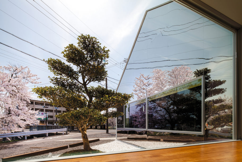 Through the Looking-Glass: 8 Effects of Enveloping Architecture With ...