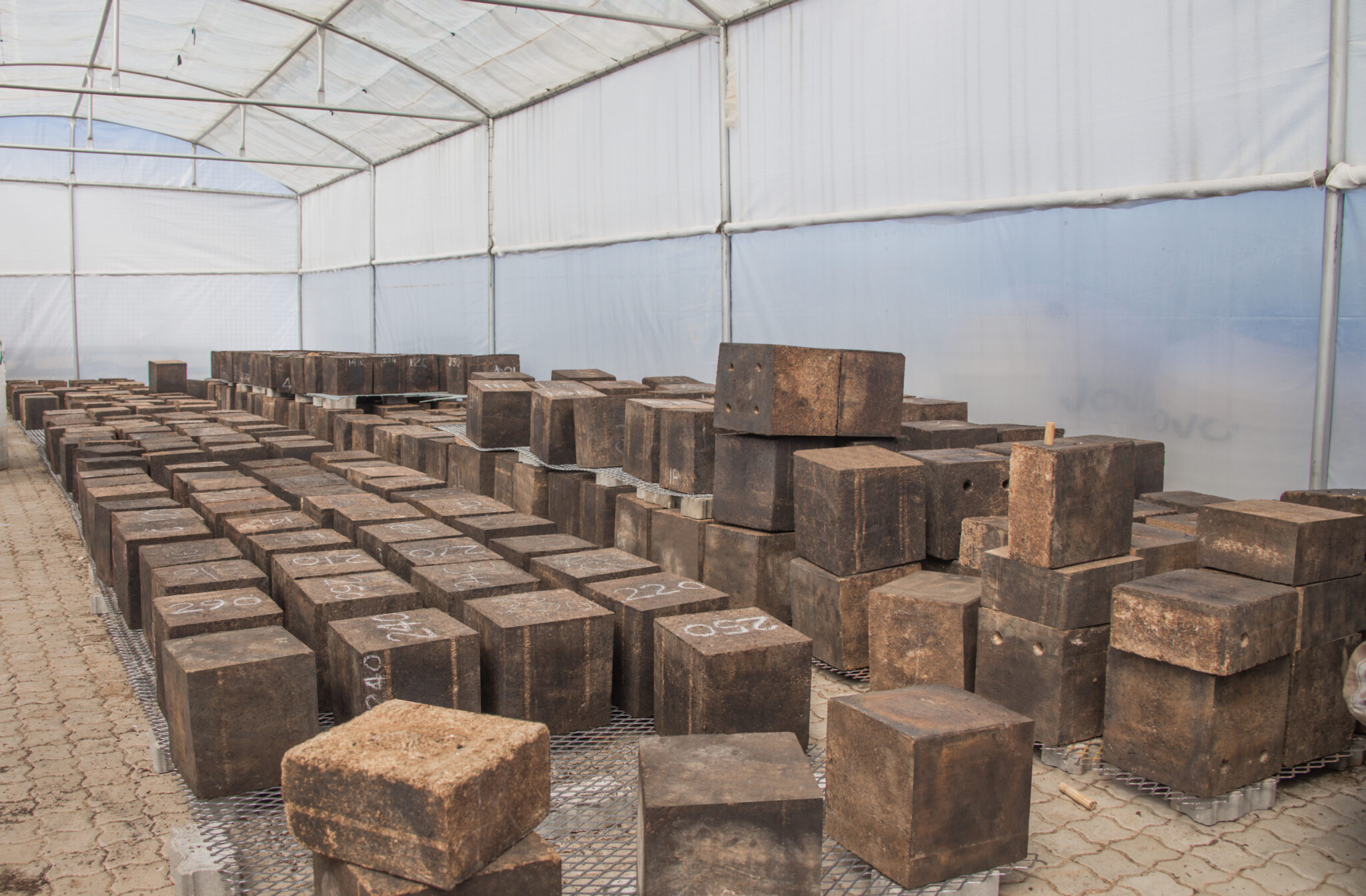 Fight Back with Fungi: How Mushrooms Can Help Solve the Global Housing ...