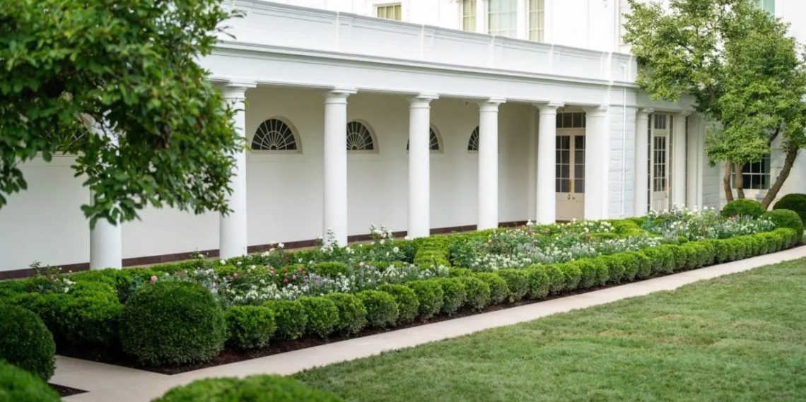 The Architectural Evolution of Libraries - Architizer Journal