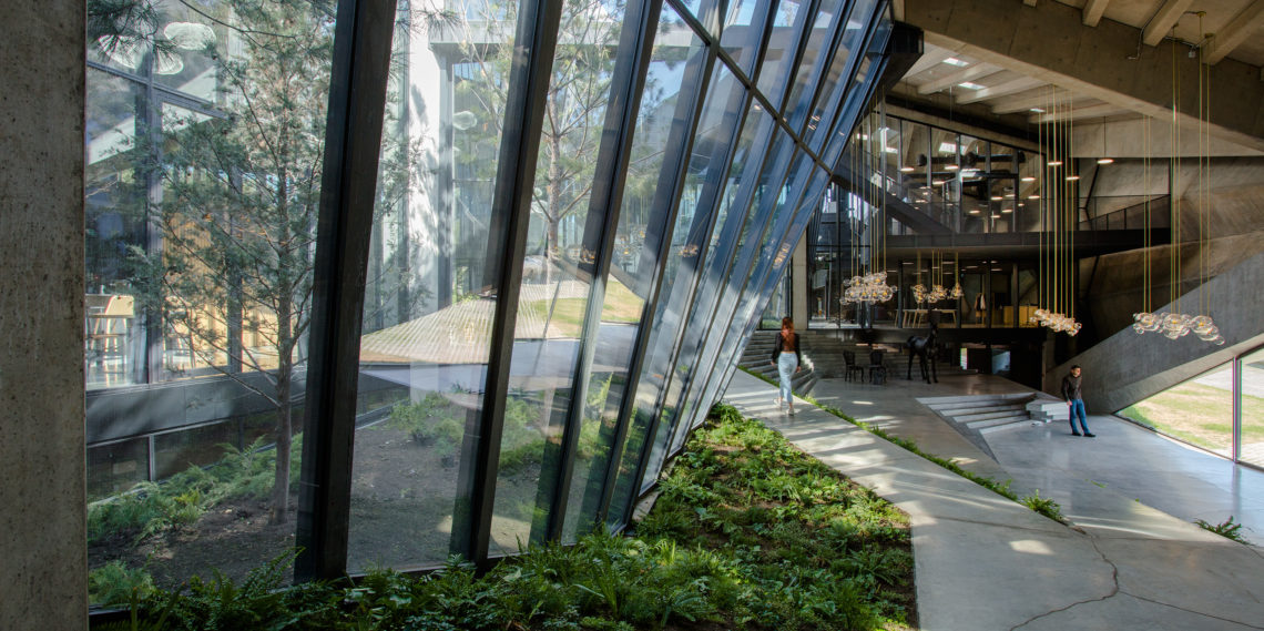 Force of Nature: 7 Extraordinary Buildings Inspired by the Natural ...