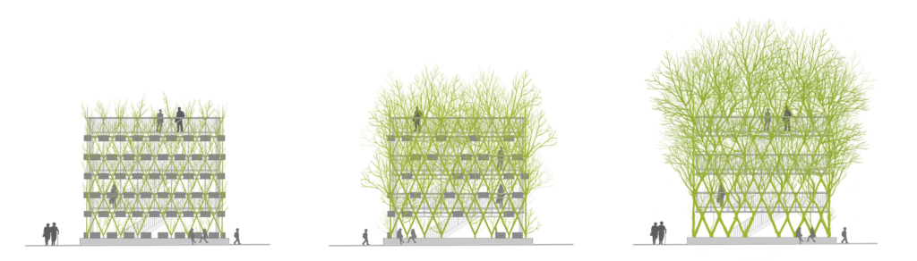 It’s Alive! Architects Are Using Living Plants as Structural Building ...