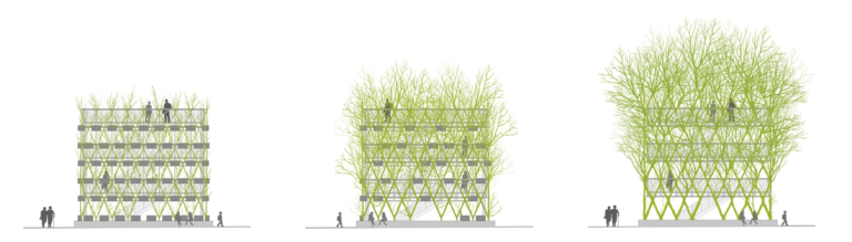 It’s Alive! Architects Are Using Living Plants as Structural Building ...