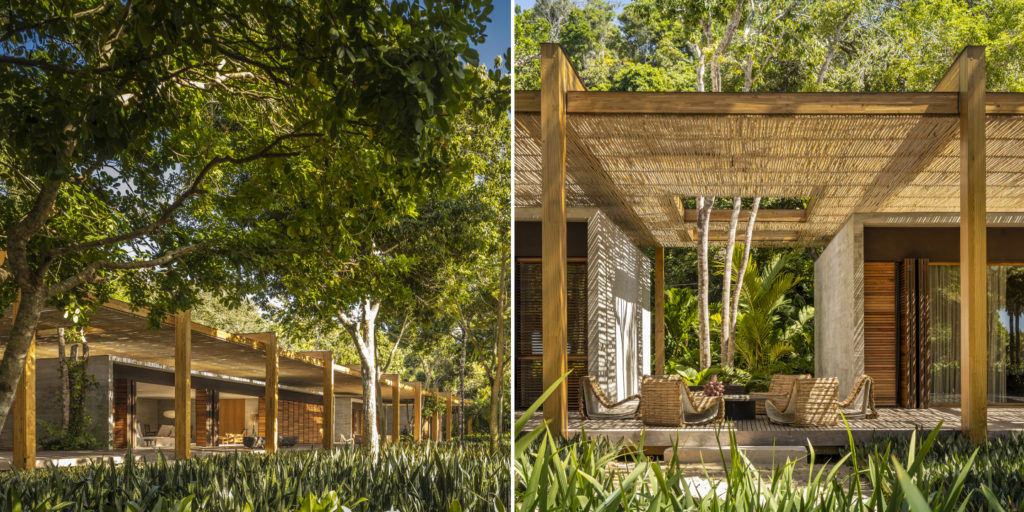 Green Cover: 6 Minimalist Brazilian Homes That Dissolve Into the ...