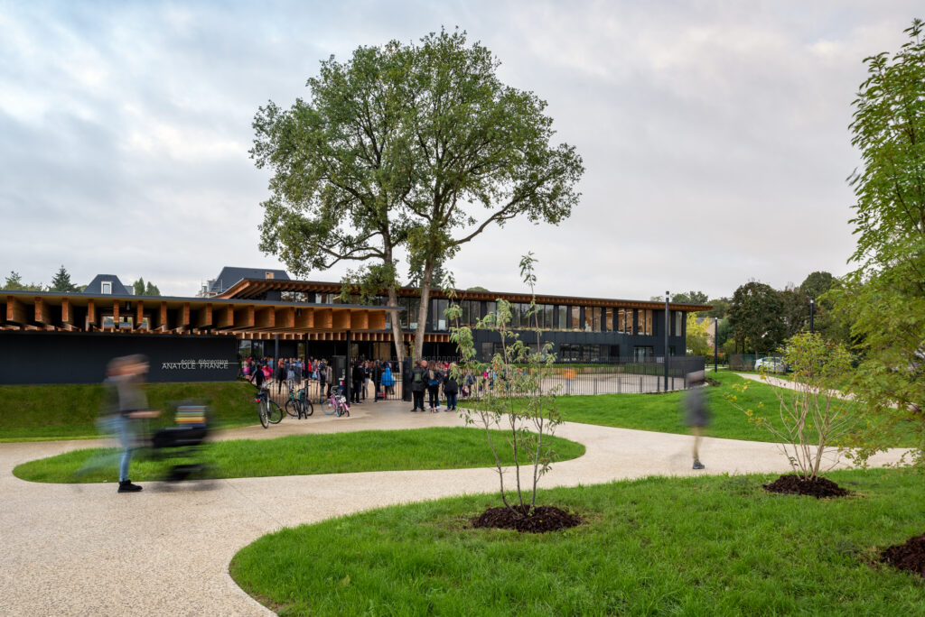 Timber Takeover: 8 Elementary Schools Embracing Wood-Based Designs