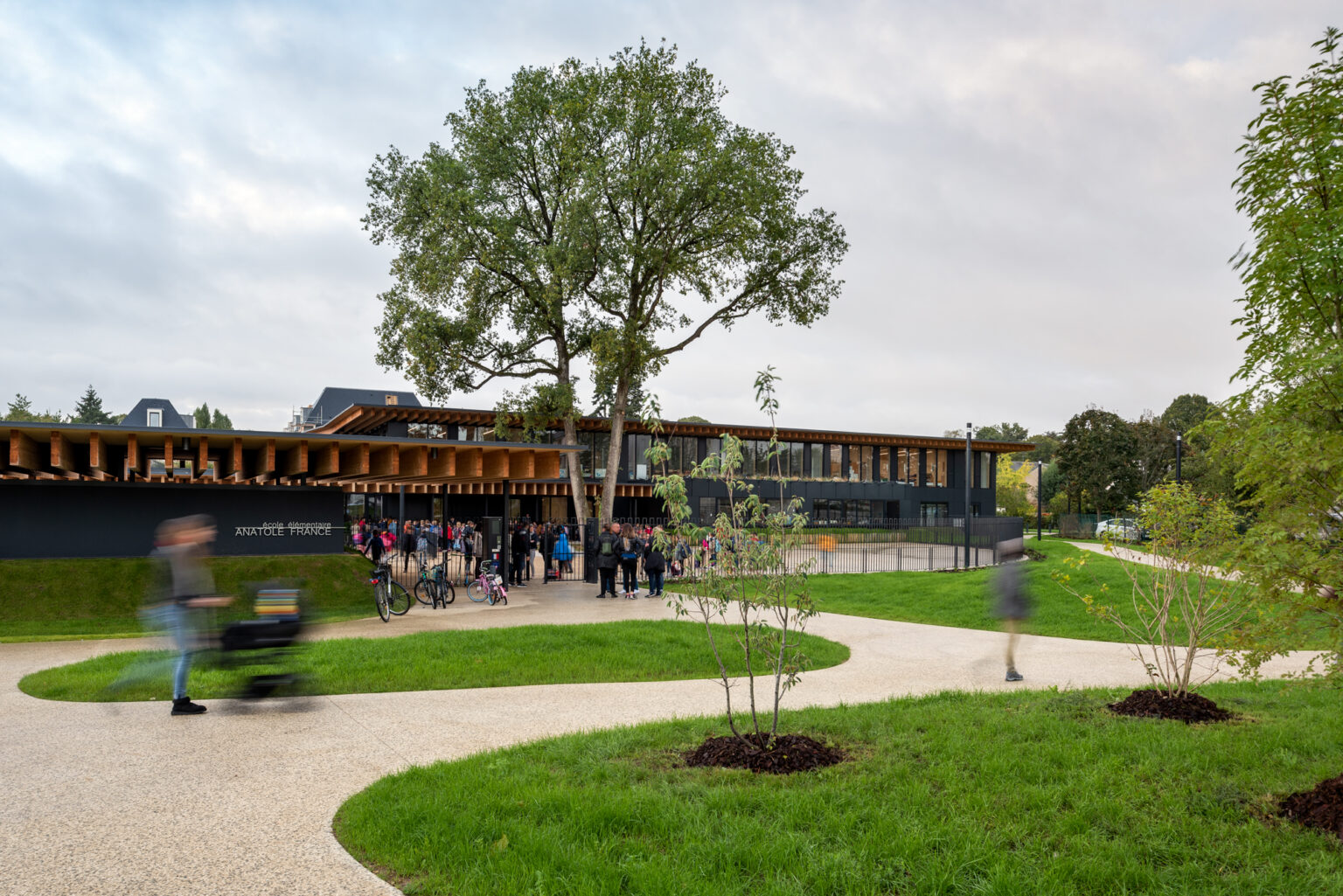 Timber Takeover: 8 Elementary Schools Embracing Wood-Based Designs