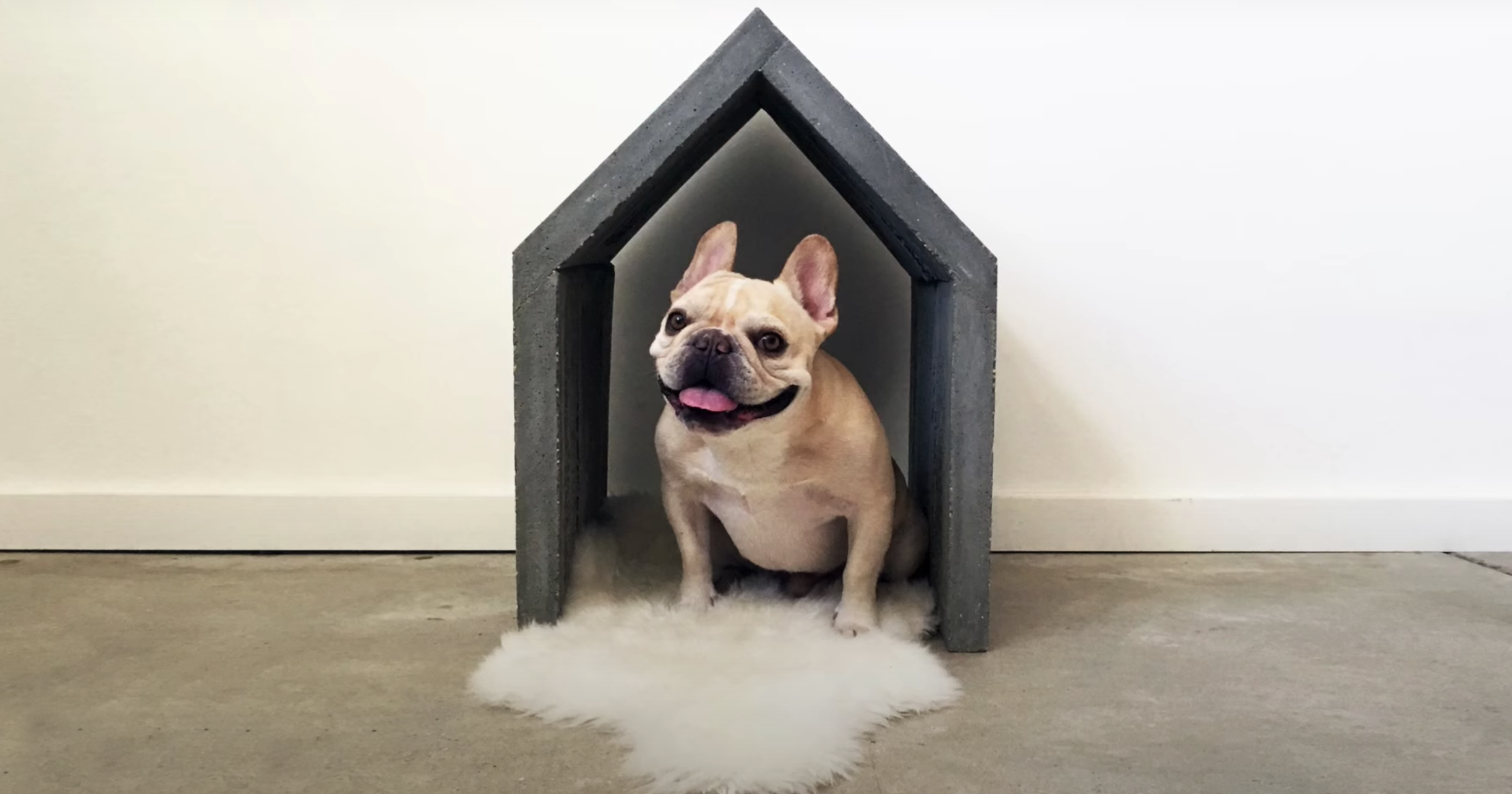 Architecture for Dogs: 10 Stylish Example of Canine Design - Architizer ...