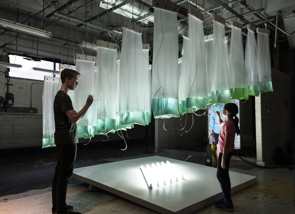 Is Architectural Algae Leading a New Wave of Green Design? - Architizer ...