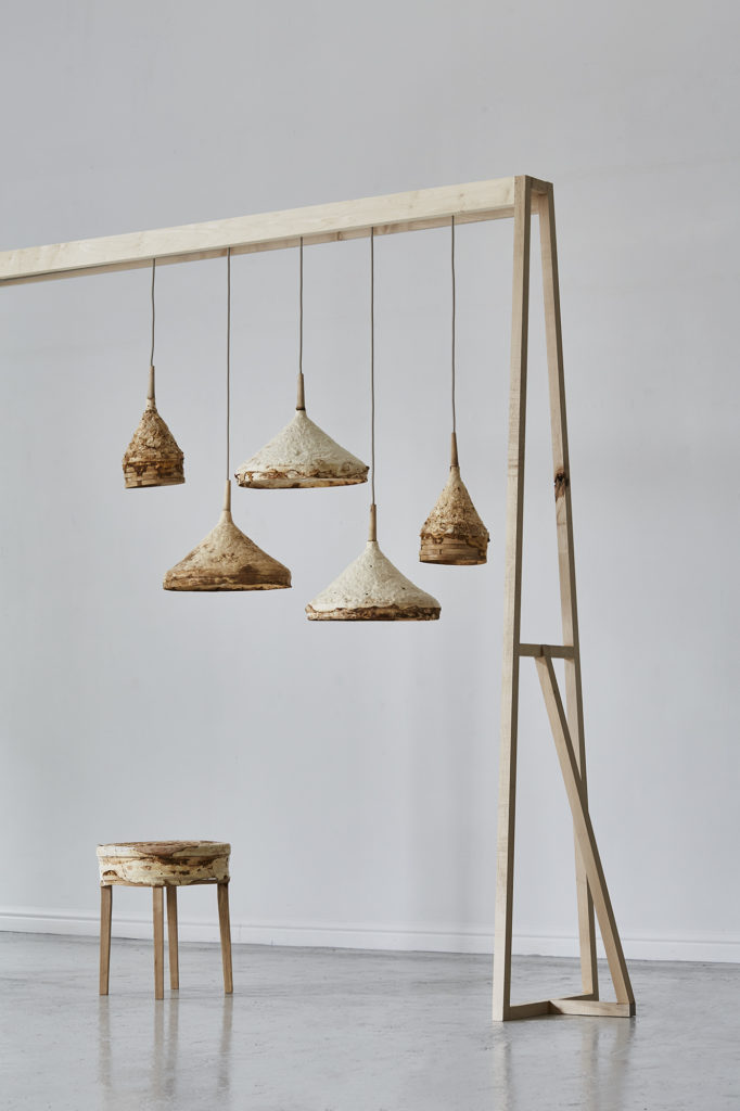 Food for Thought: What About Mycelium Architecture? - Architizer Journal