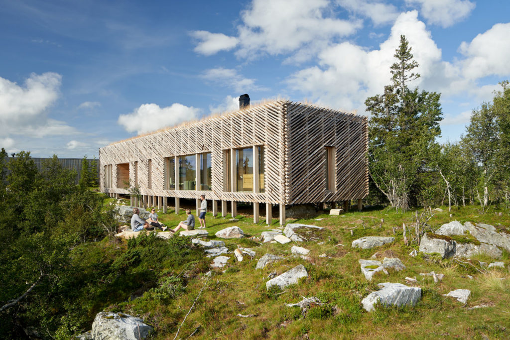 Slatted for Success: 10 Stunning Projects Using Timber Screens to Let ...