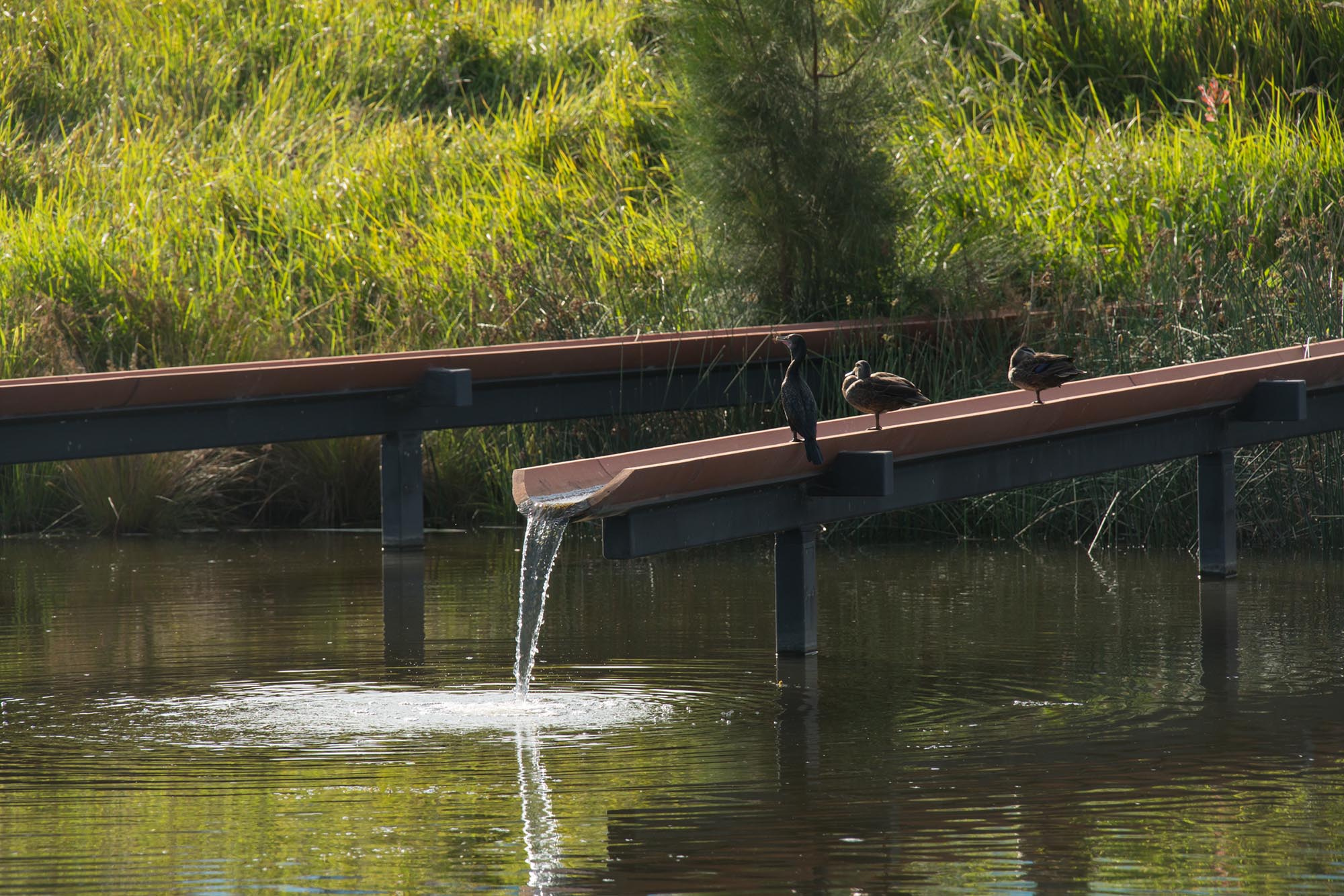 7 Modern Designs That Prove Waste Treatment Architecture is Overlooked ...